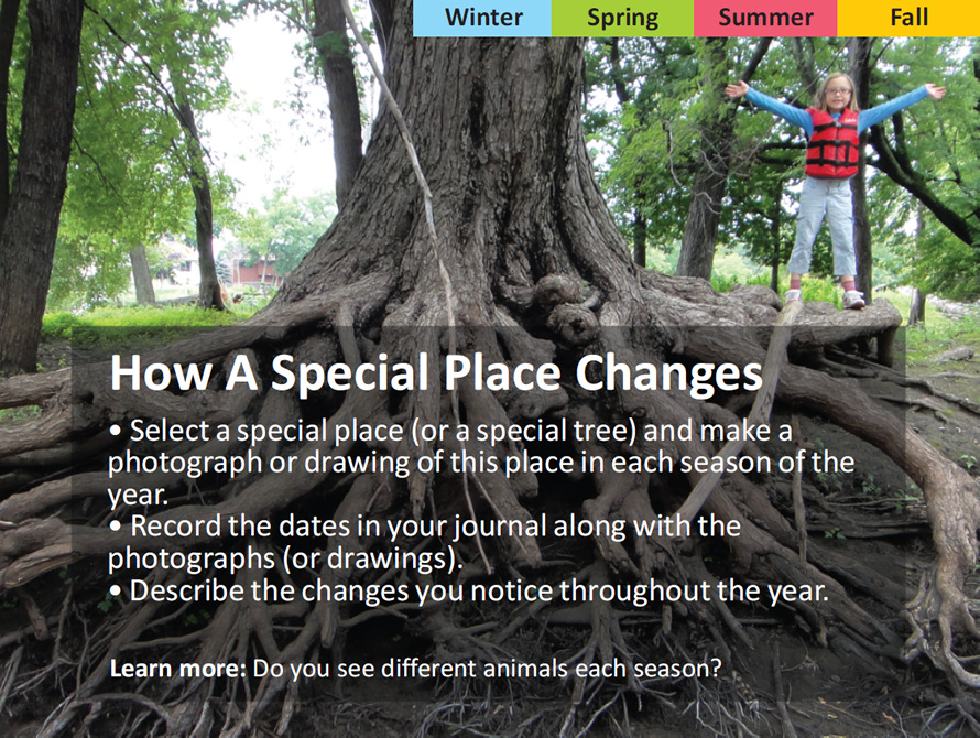 GO Outdoors Cards - Jeffers Foundation