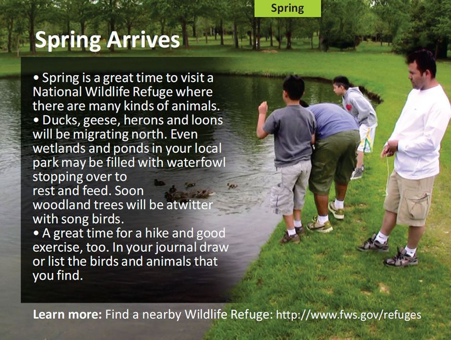 GO Outdoors Cards - Jeffers Foundation