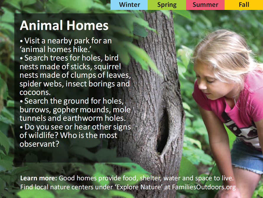 GO Outdoors Cards - Jeffers Foundation