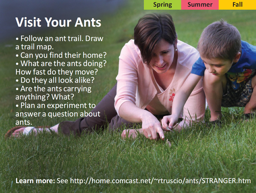 GO Outdoors Cards - Jeffers Foundation