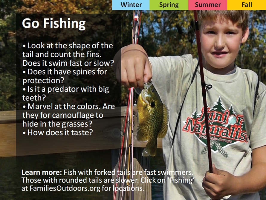 GO Outdoors Cards - Jeffers Foundation