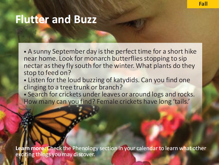 GO Outdoors Cards - Jeffers Foundation