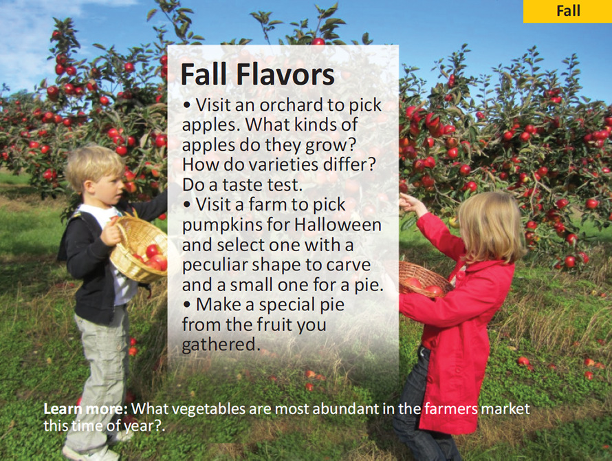 GO Outdoors Cards - Jeffers Foundation