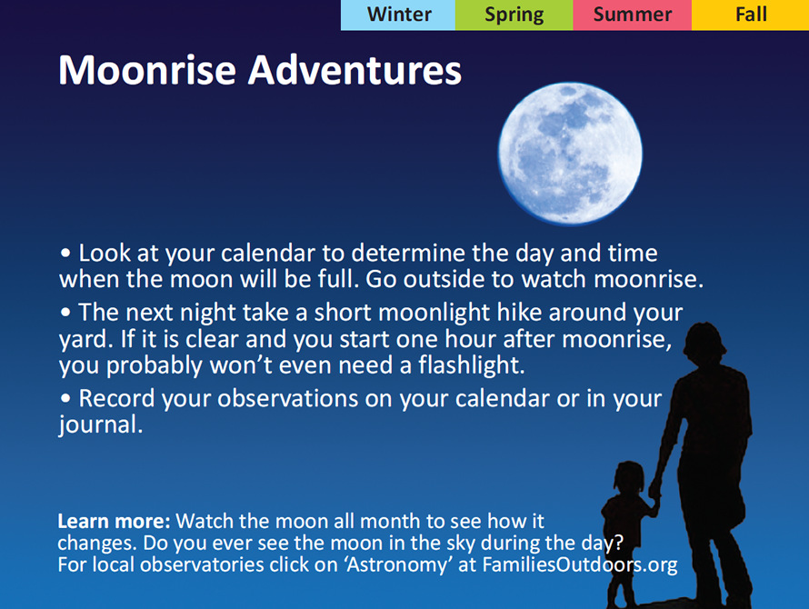 GO Outdoors Cards - Jeffers Foundation