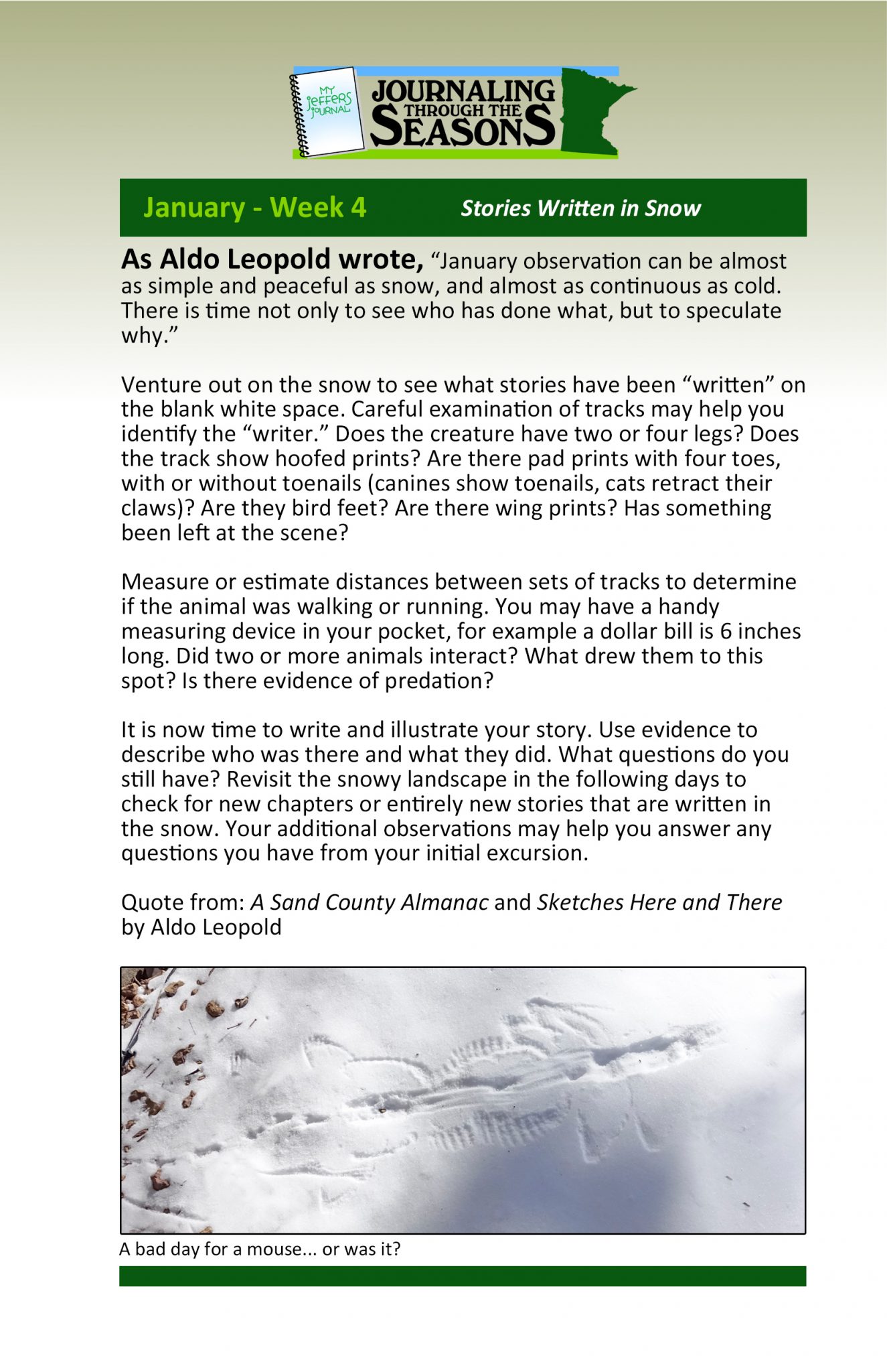 Journaling Through the Seasons - Jeffers Foundation